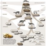 La Historia de los Perros - Historia Exprés Podcast